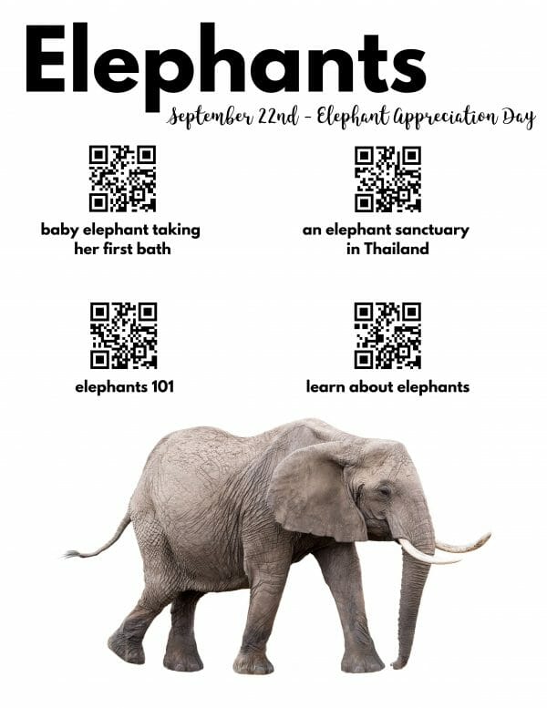 Elephant Appreciation Day in the Classroom - Teacher Treasure Hunter